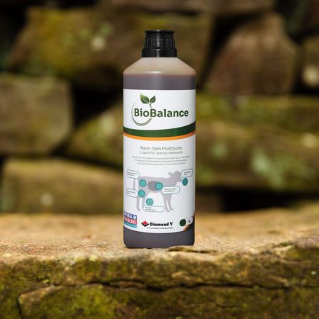 Buy Natural Stockcare BioBalance from £29.00