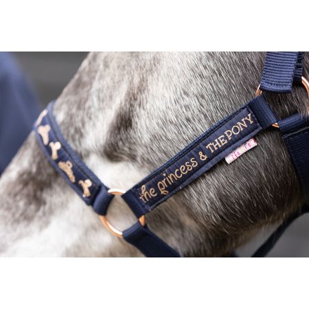 Buy The Princess and the Pony Head Collar & Lead Rope Set by Little ...