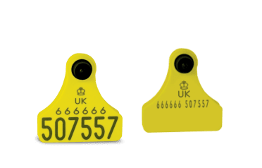 Buy Allflex Double Replacement Cattle Tag from £7.50