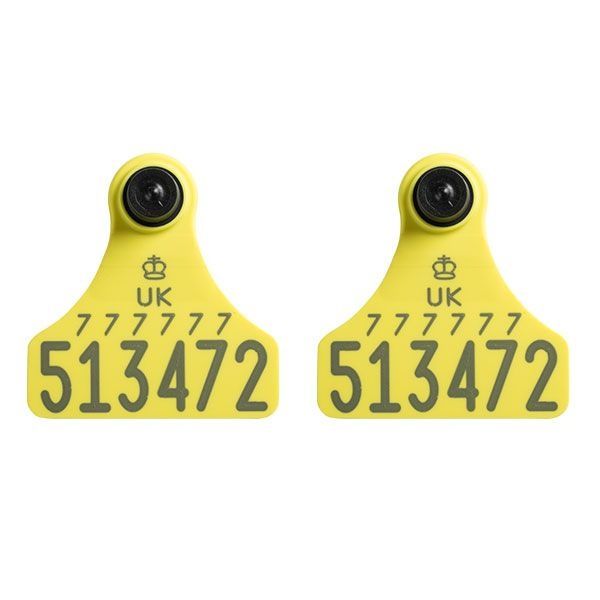 Buy Allflex Cattle Tag New Run from £2.59
