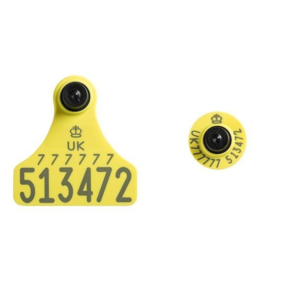 Buy Allflex Cattle Tag New Run from £2.59