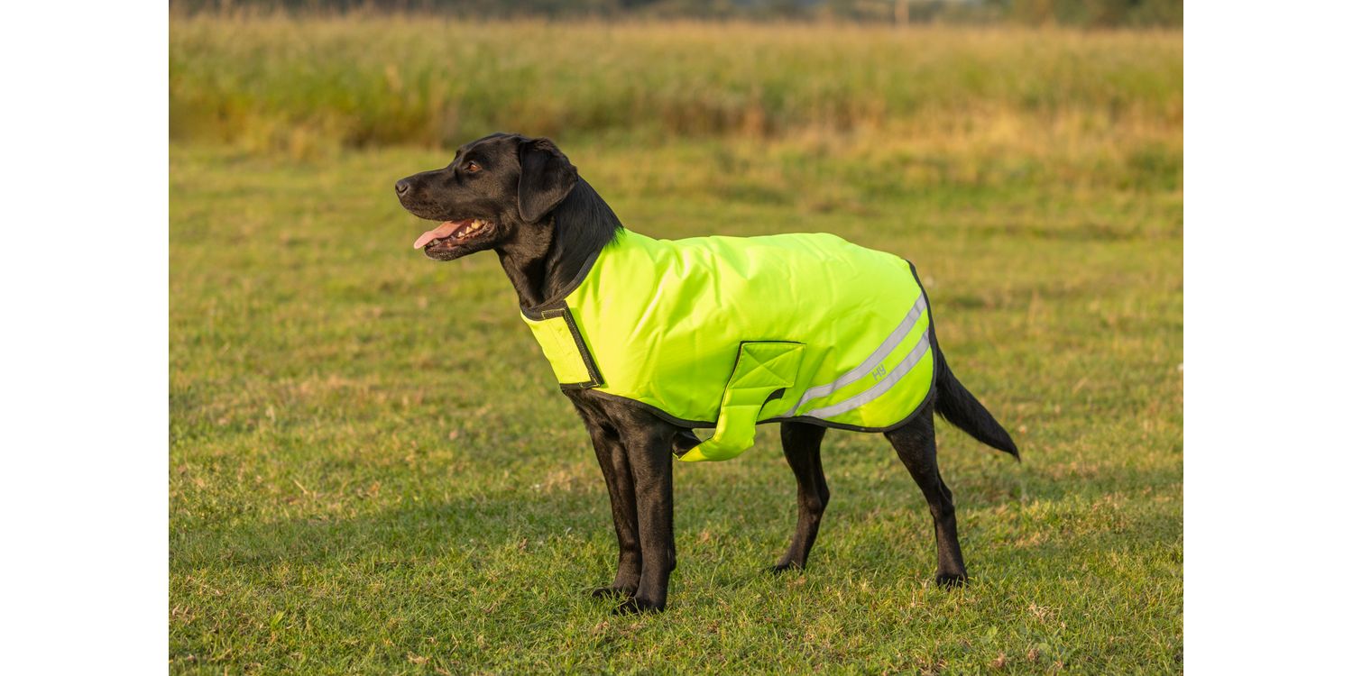 Buy Benji & Flo Reflector Waterproof Dog Coat by Hy Equestrian - Yellow ...