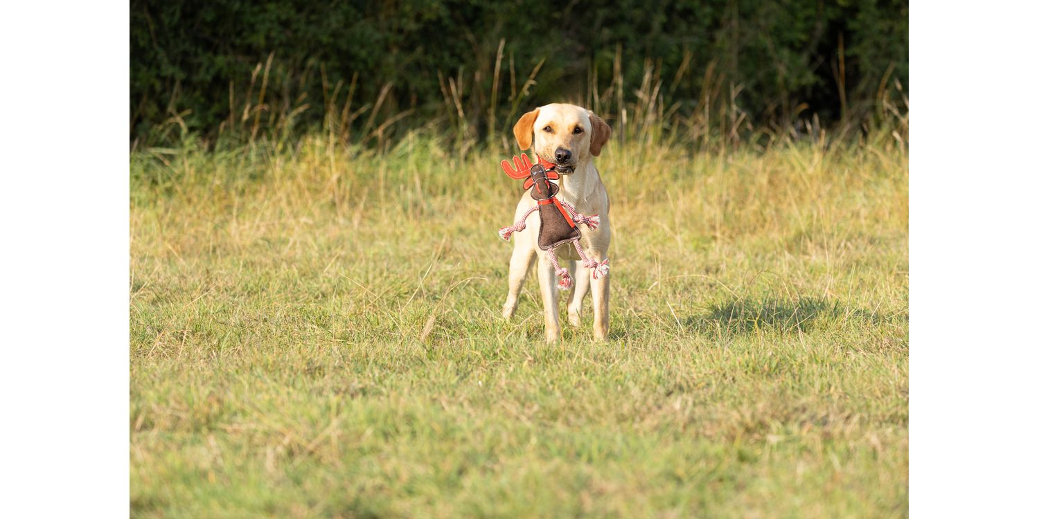 Buy Benji & Flo Natural Eco-Friends Rudolf Dog Toy from £5.65