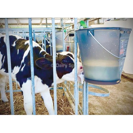 Buy Milk Bar™ Euro Calf Bucket Single Teat Feeder - MBA07A from £5.04