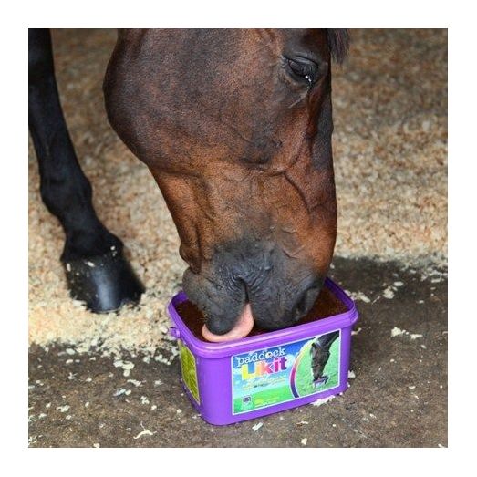 Buy Likit Paddock Likit - 8kg from £24.13