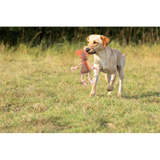 Buy Benji & Flo Natural Eco-Friends Rudolf Dog Toy from £5.65